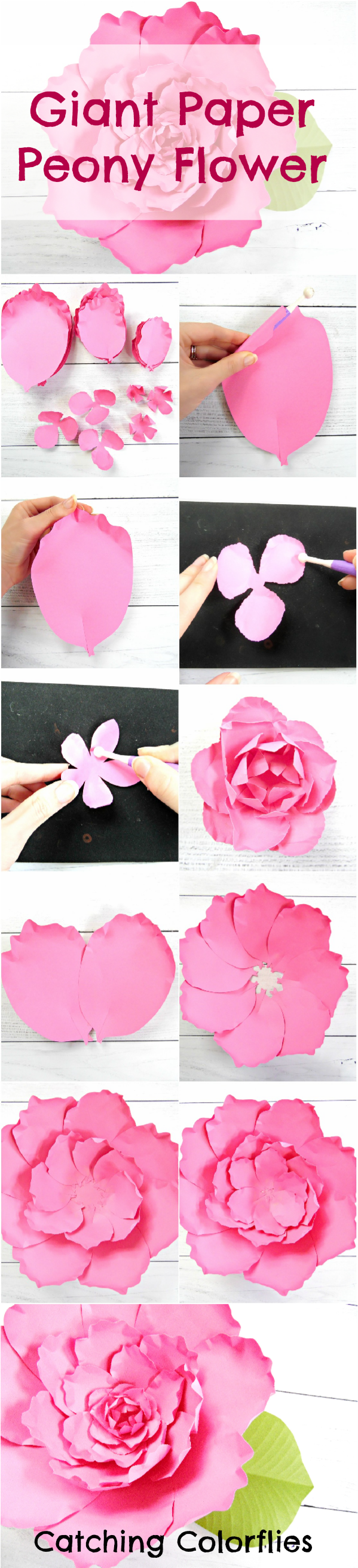 Peony Paper Flower Template Svg